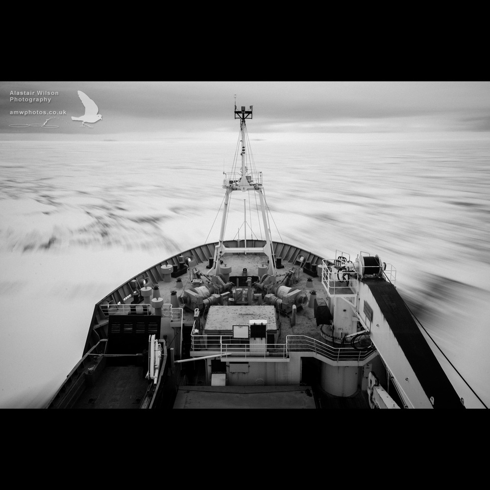 Pushing through ice | AMWPhotos